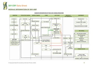Sky erp datasheet | PDF