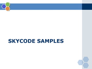 SkycodeBIZ | PDF