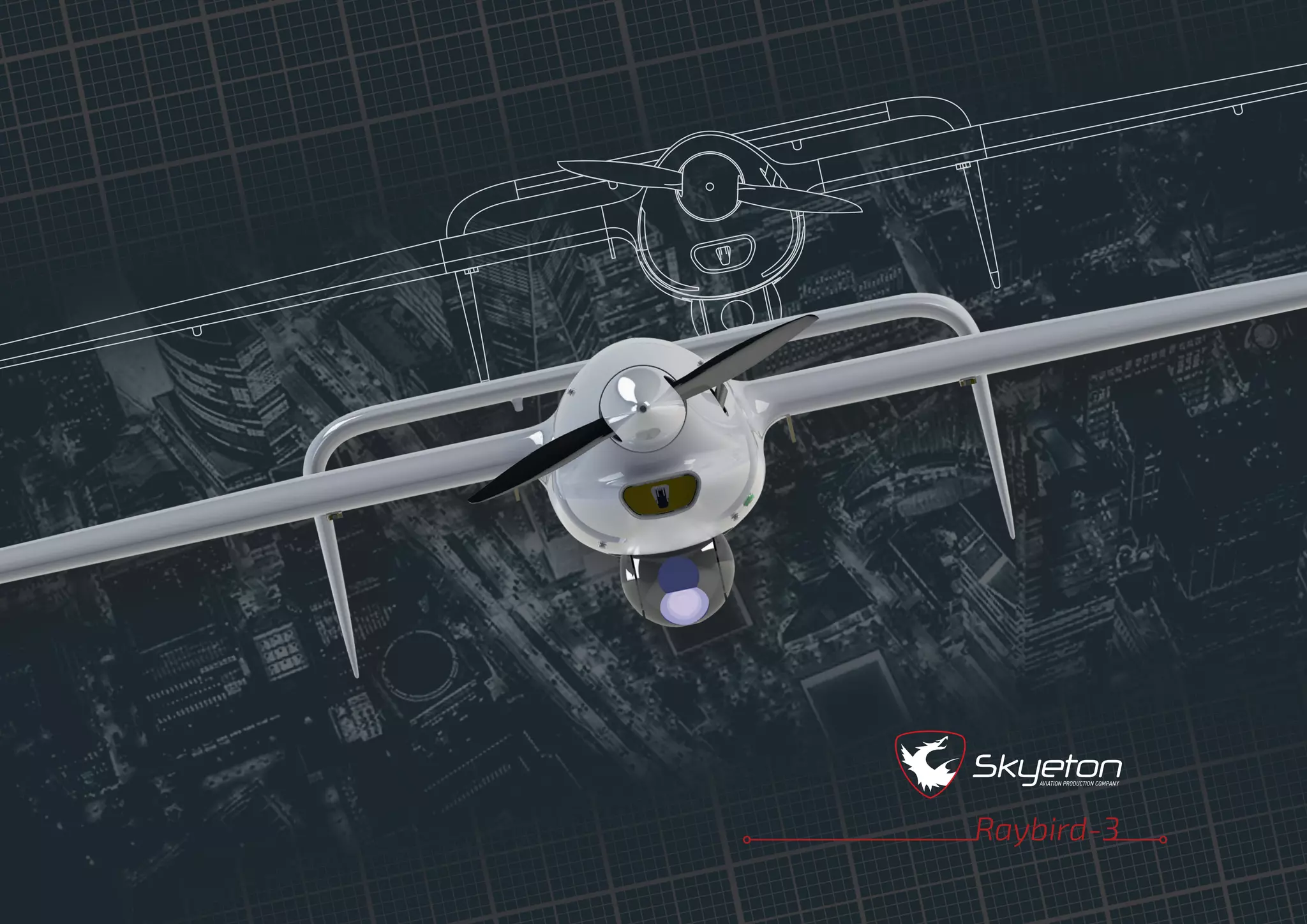 Skyeton - Raybird 3 | PDF