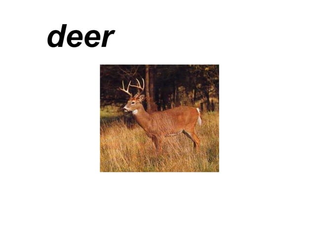 Sky falling vocab | PPT