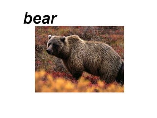 Sky falling vocab | PPT