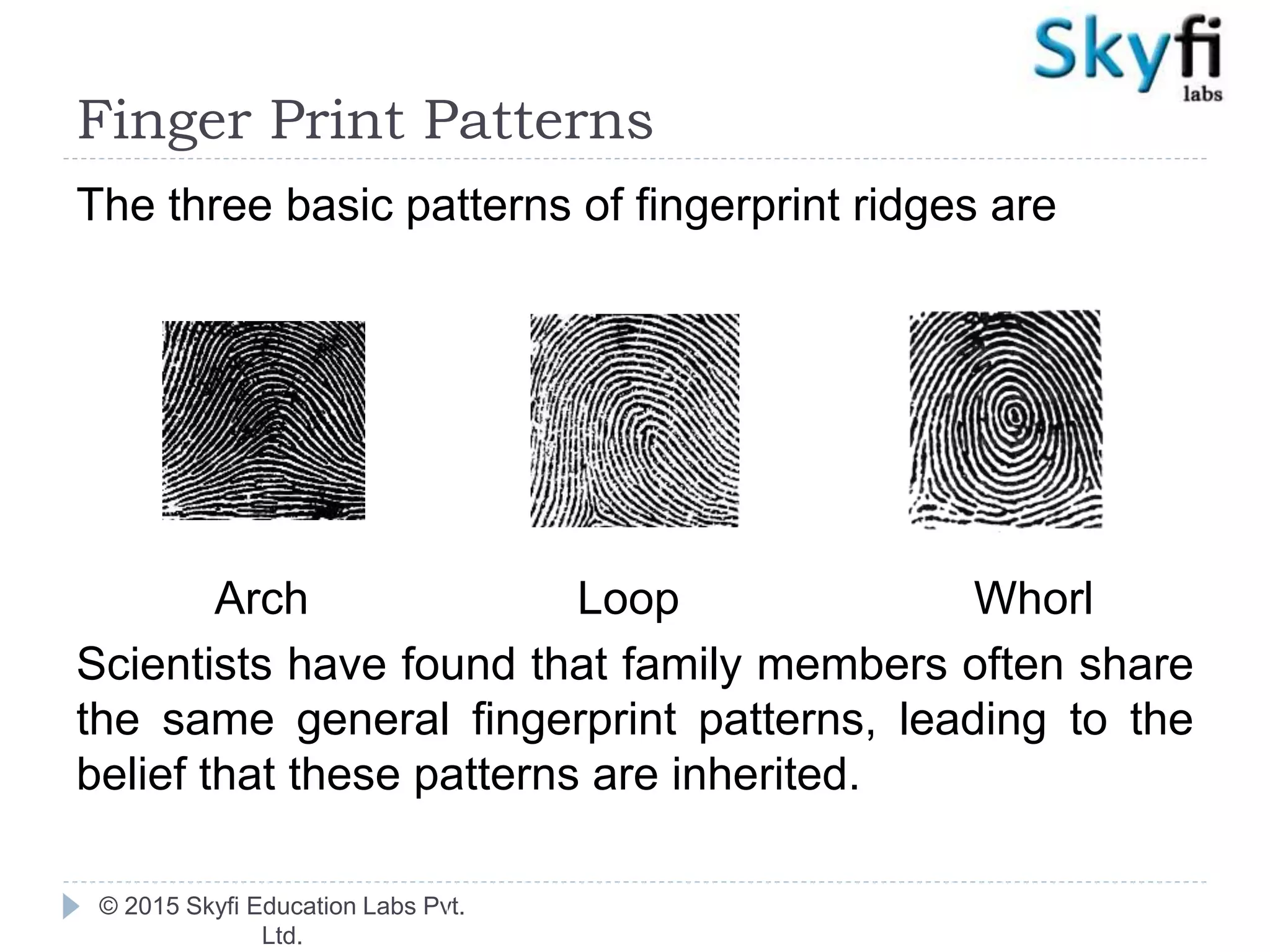 Skyfi labs Biometric Authentication | PPT