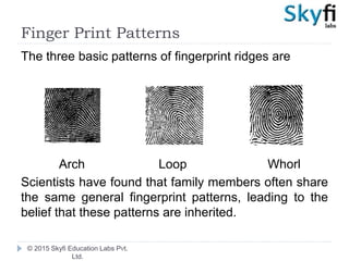 Skyfi labs Biometric Authentication | PPT