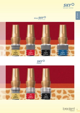 SKY Implant System Catalog | PDF