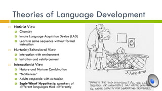 Skyline Language | PPT