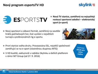 Prezentace Skylink | PPT