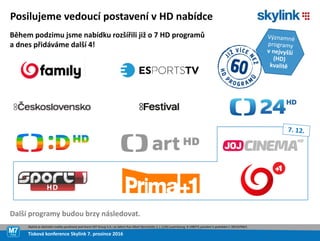 Prezentace Skylink | PPT