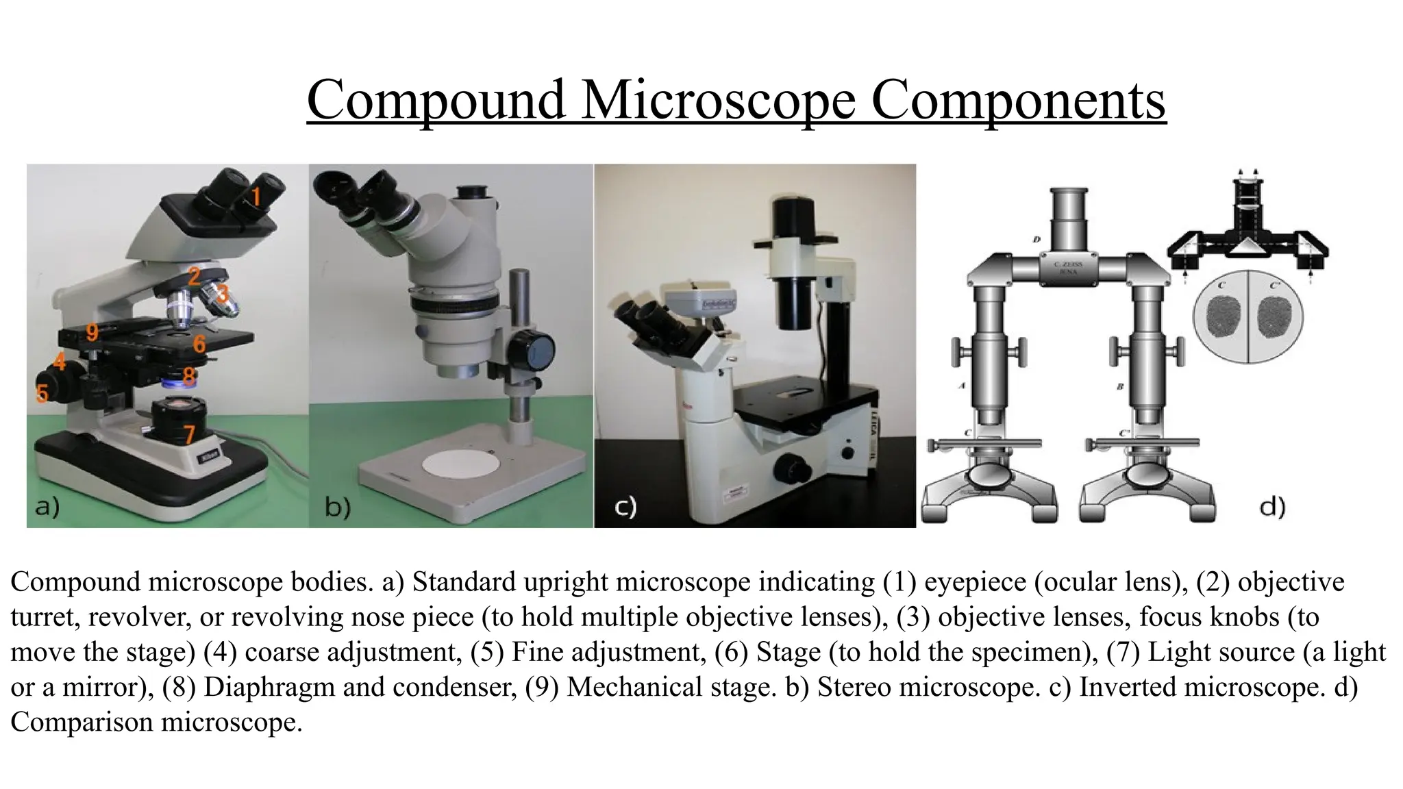 SKY super resolution microscope ppt.pptx