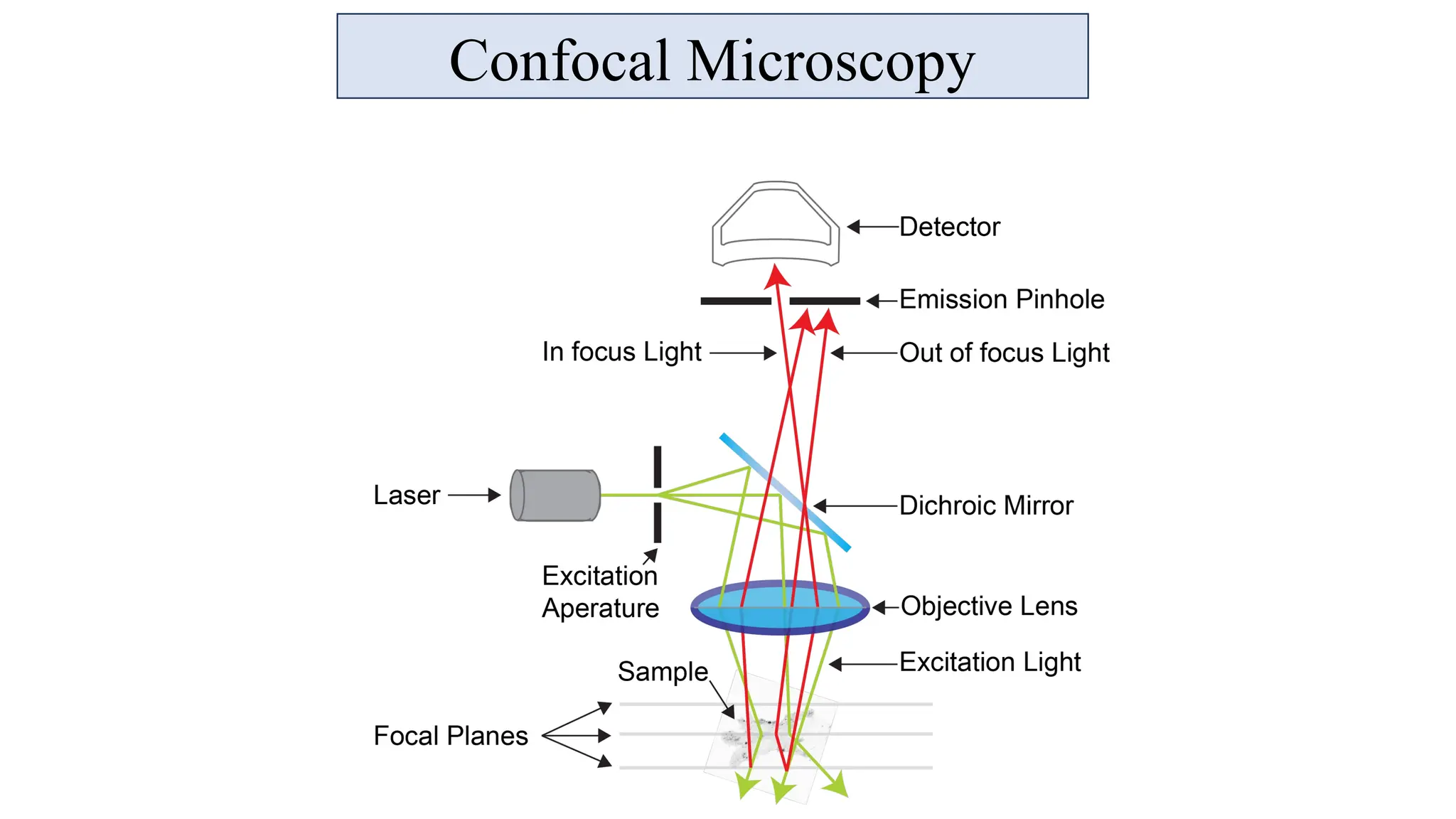 SKY super resolution microscope ppt.pptx