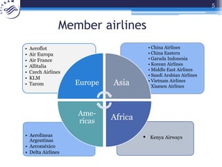 SkyTeam | PDF