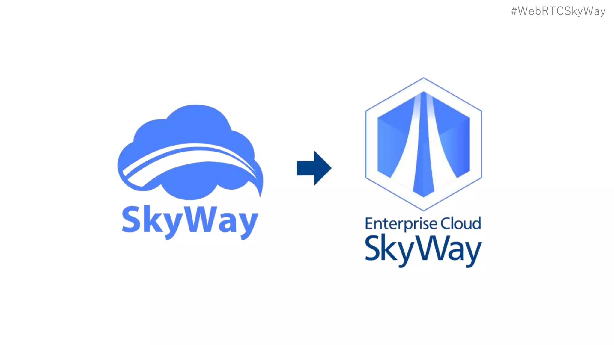 SkyWay Vision & Mission | PPTX