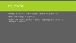 Anatomía y fisiología de glándulas salivales | PPTX