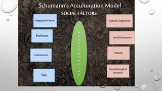 SECOND LANGUAGE ACQUISITION THEORY | PPT