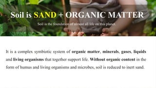 LITHOSPHERE INTRODUCTION ON SOIL | PPTX