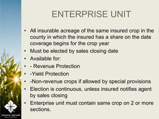 Slack crop insurance basics | PDF