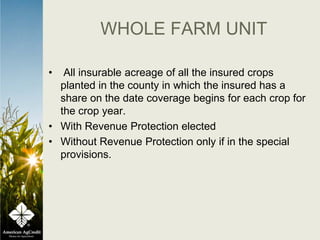 Slack crop insurance basics | PDF