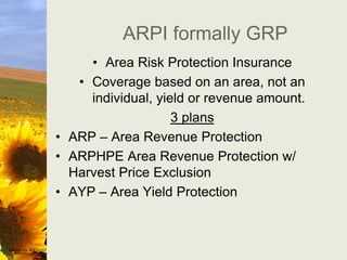 Slack crop insurance basics | PDF