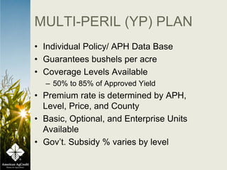 Slack crop insurance basics | PDF