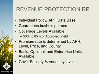 Slack crop insurance basics | PDF