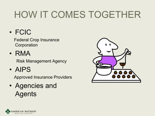 Slack crop insurance basics | PDF