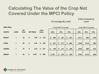Slack crop insurance basics | PDF