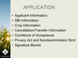 Slack crop insurance basics | PDF