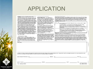 Slack crop insurance basics | PDF