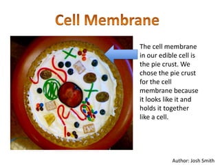 Slack packs edible cell | PPT