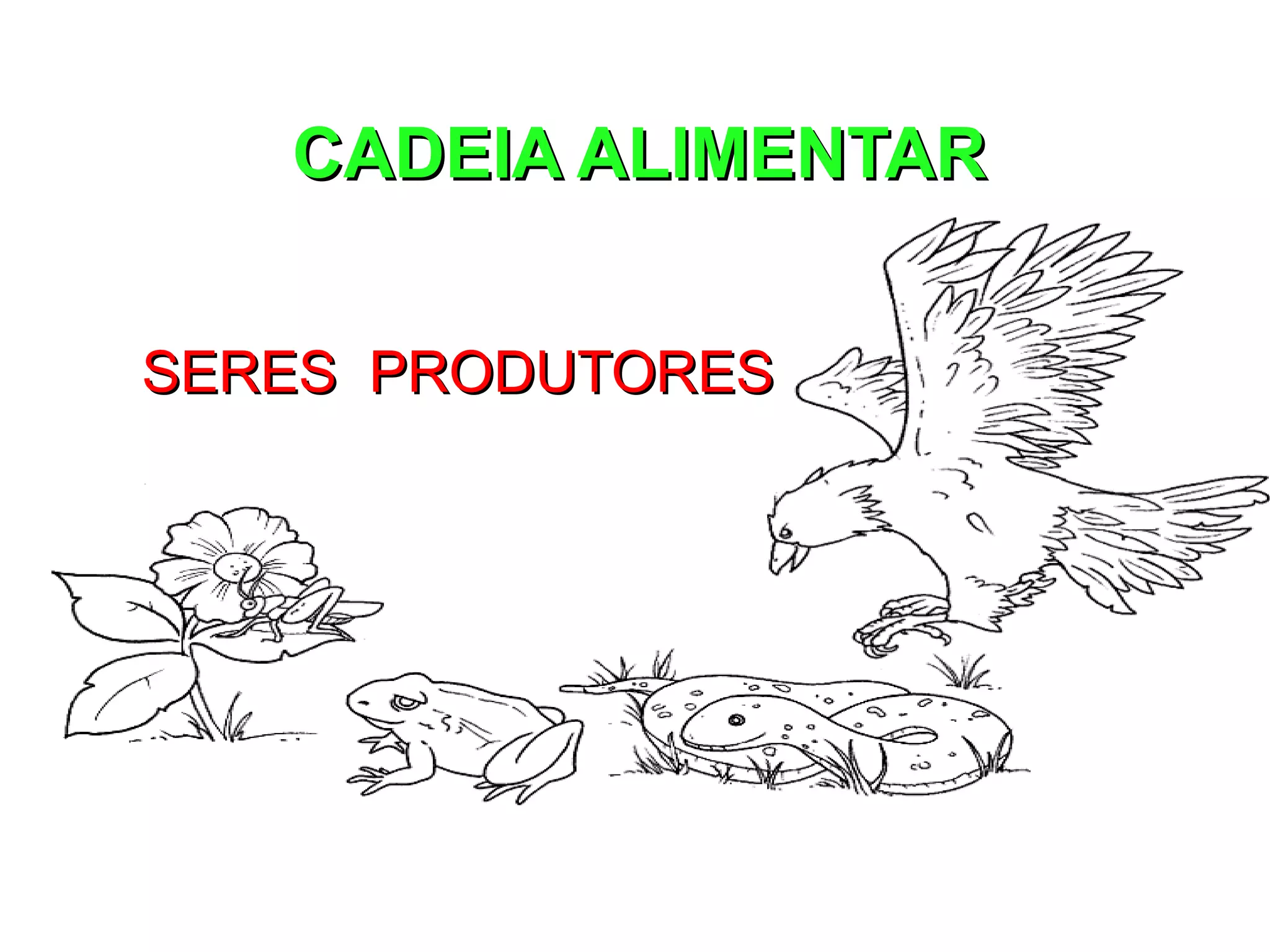 cadeia alimentar | ODP