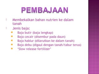 Slaid tanaman hiasan t1 | PPT