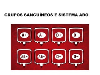 SLAID SOBRE GRUPOS SANGUINES E SISTEMA ABO.pptx