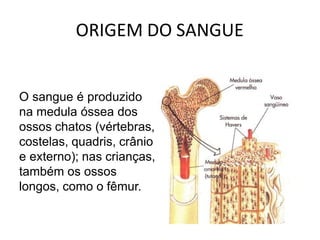 SLAID SOBRE GRUPOS SANGUINES E SISTEMA ABO.pptx