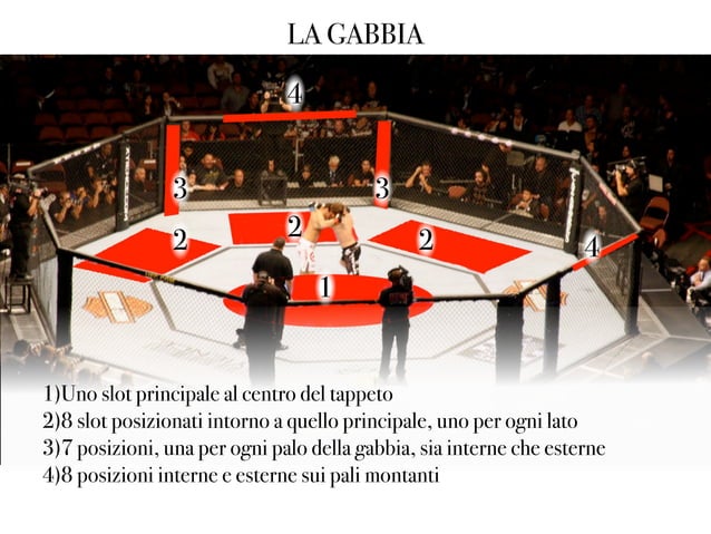 Slam Fighting Championship media kit | PDF
