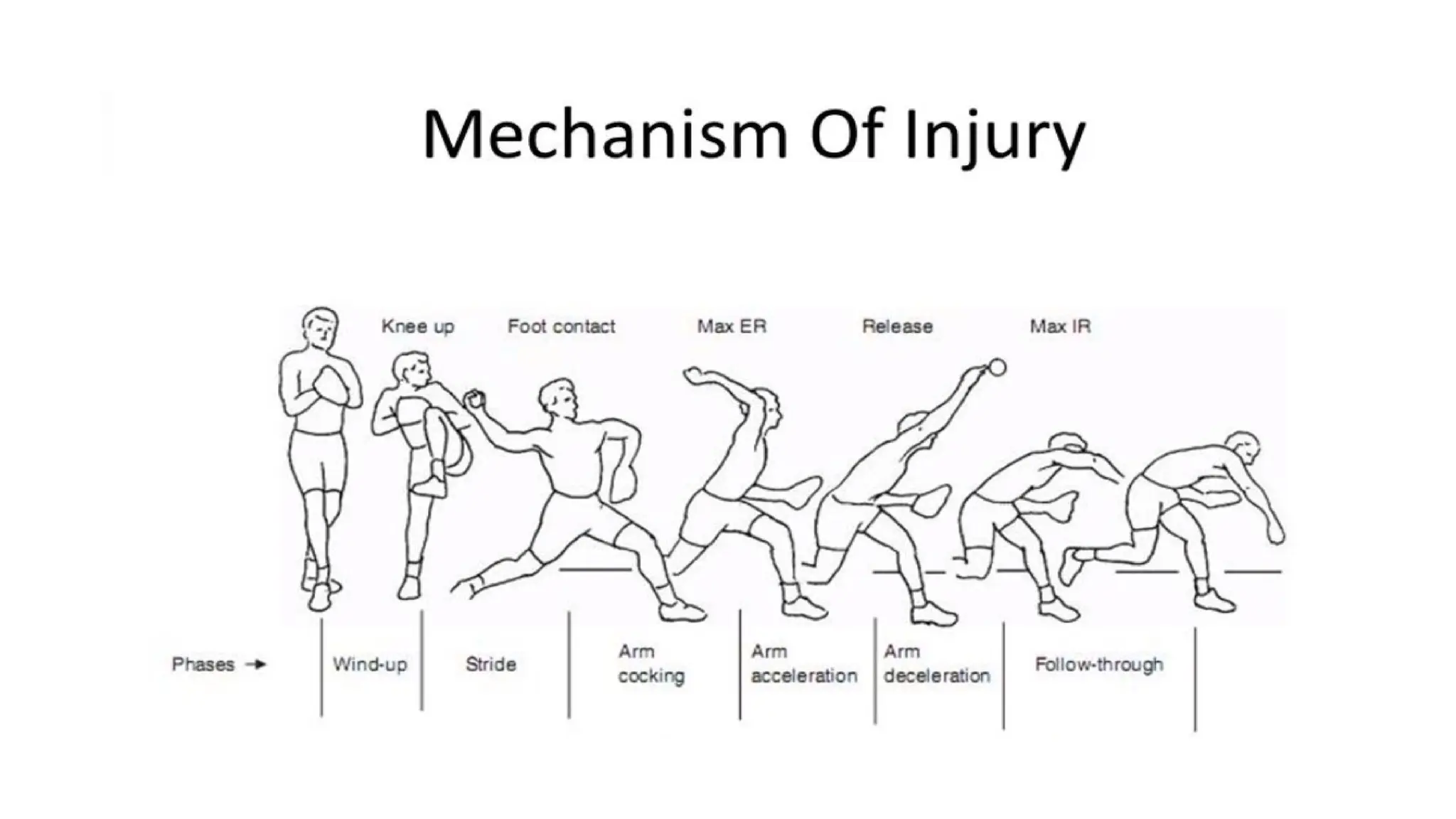 SLAP LESION CONSERVATIVE AND SPORTS REHABILITATION | PPTX