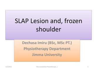 SLAP Lesion and.pdf