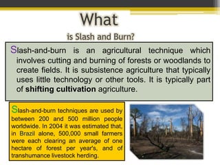 Slash and burn | PPTX