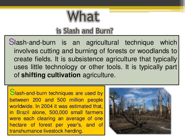 Slash and burn
