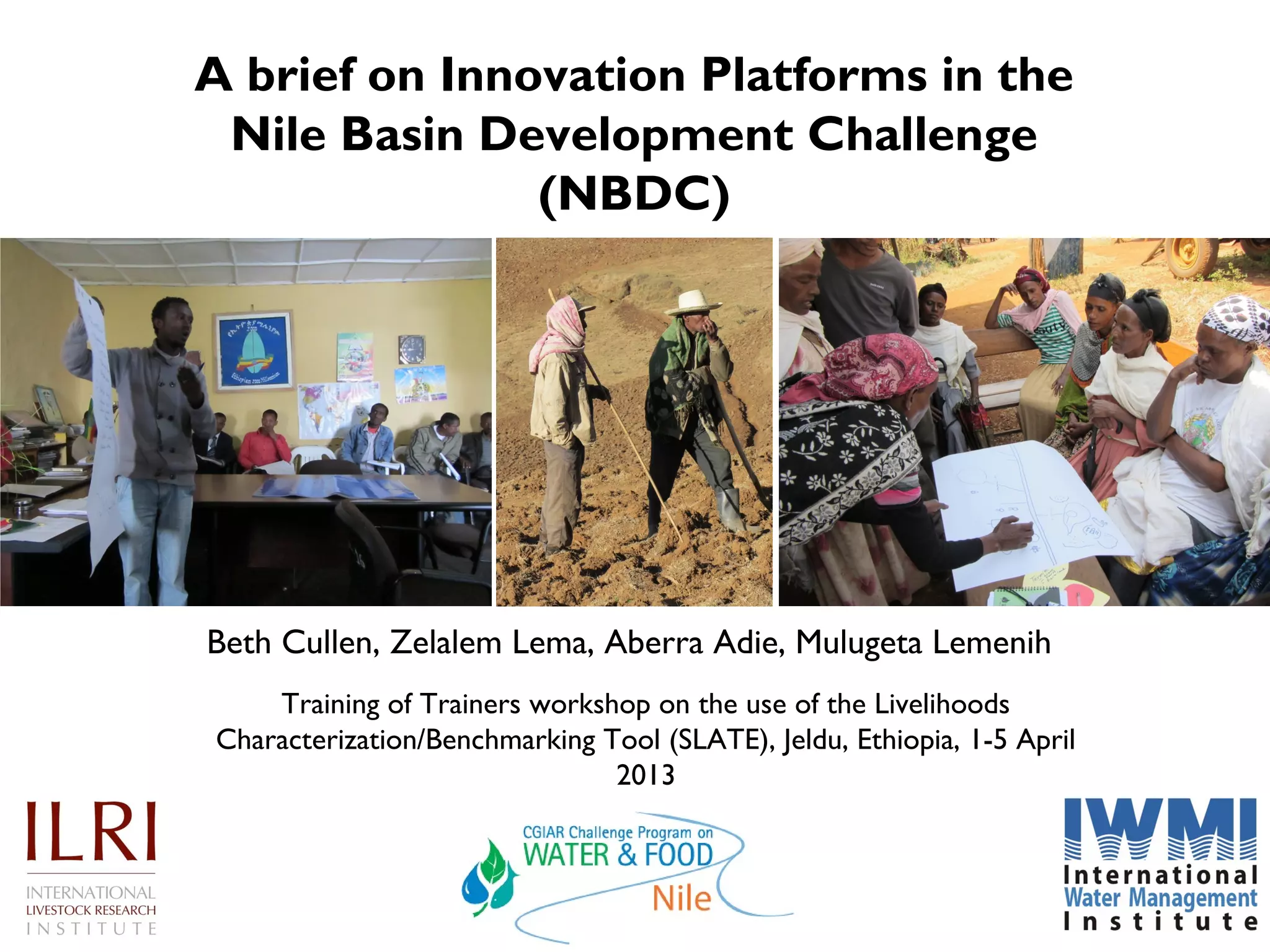A brief on Innovation Platforms in the Nile Basin Development Challenge (NBDC) | PPT
