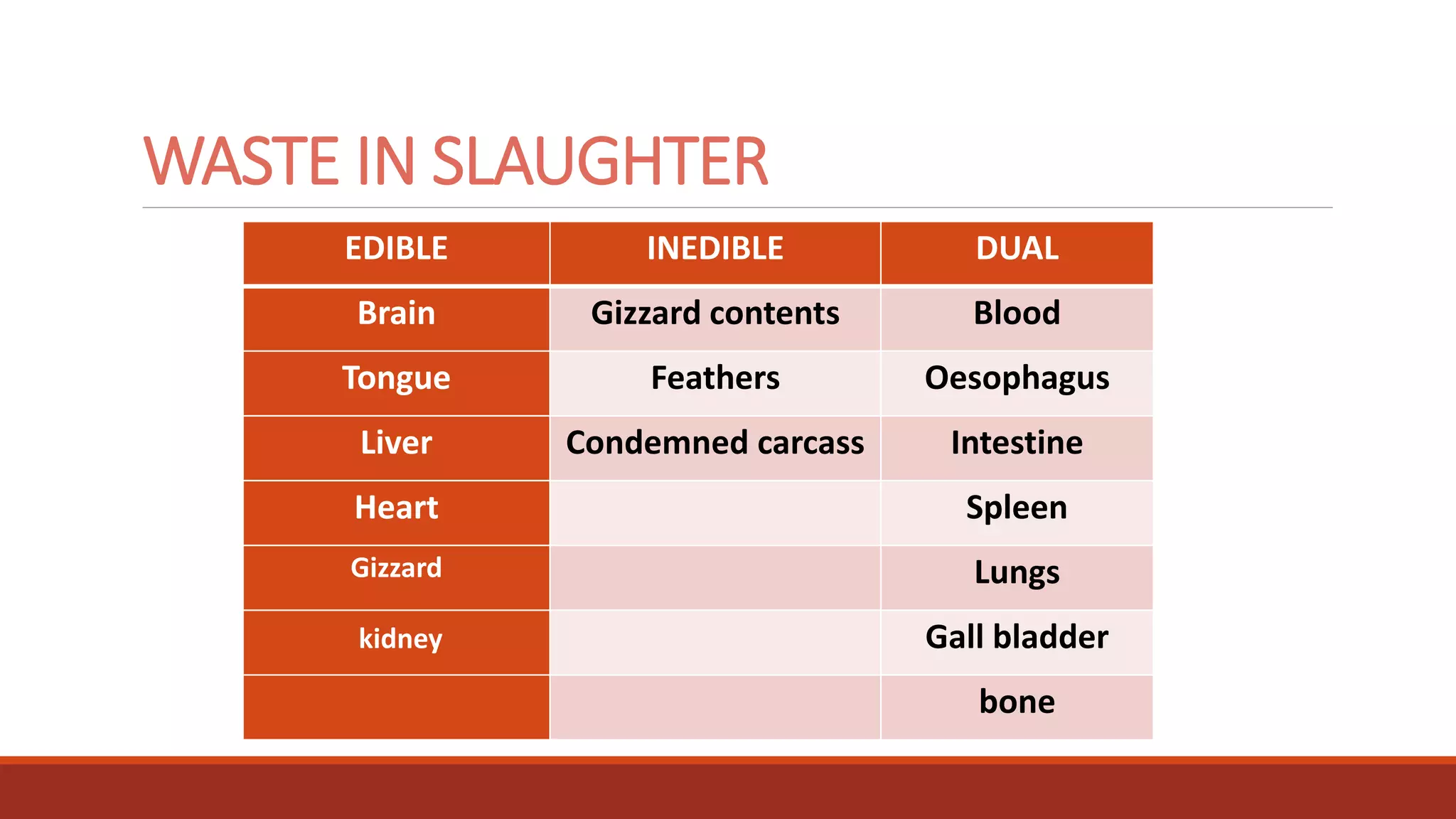 Slaughter house | PPTX