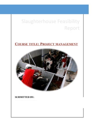 Slaughterhouse feasibility Report | PDF