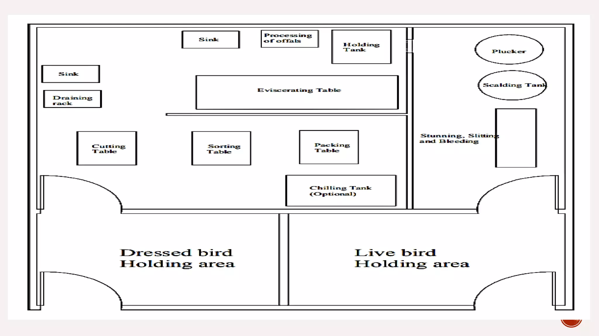 Slaughterhouse PPT.pptx