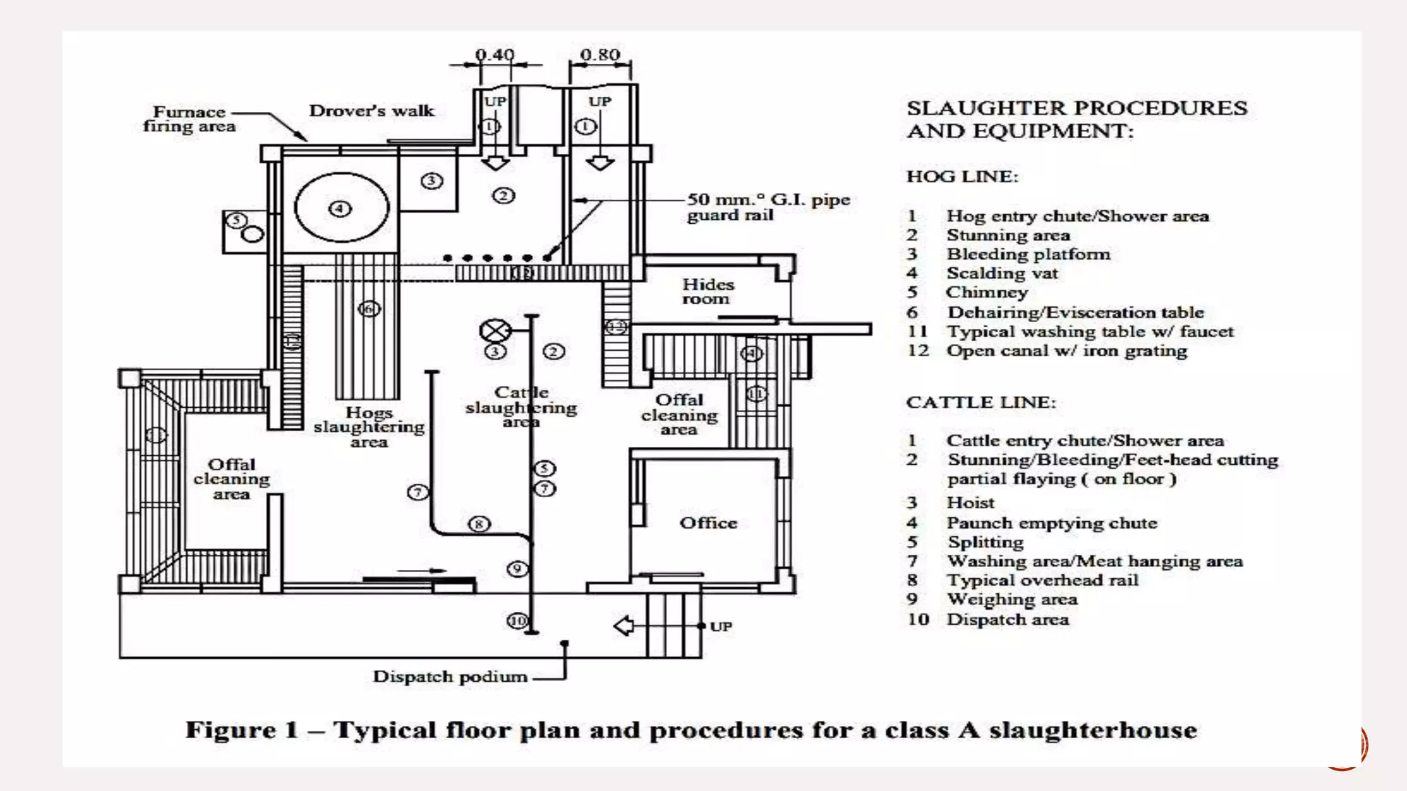 Slaughterhouse PPT.pptx
