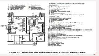 Slaughterhouse PPT.pptx