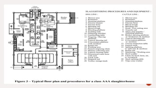 Slaughterhouse PPT.pptx