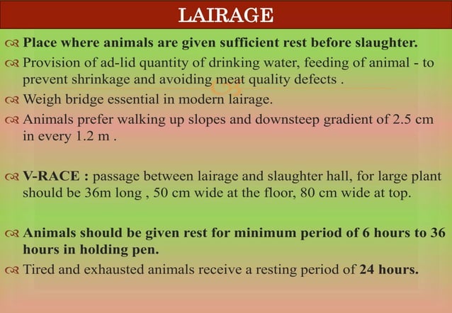 Slaughterhouses Layout, Design, Operations, Equipments and Maintenance ...
