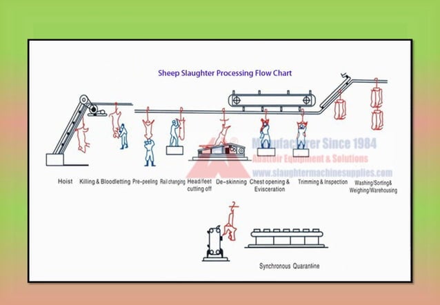Slaughterhouses Layout, Design, Operations, Equipments and Maintenance ...