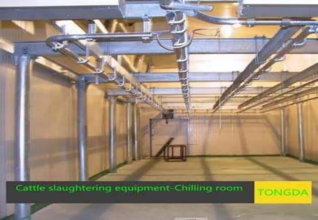 Slaughterhouses Layout, Design, Operations, Equipments and Maintenance ...