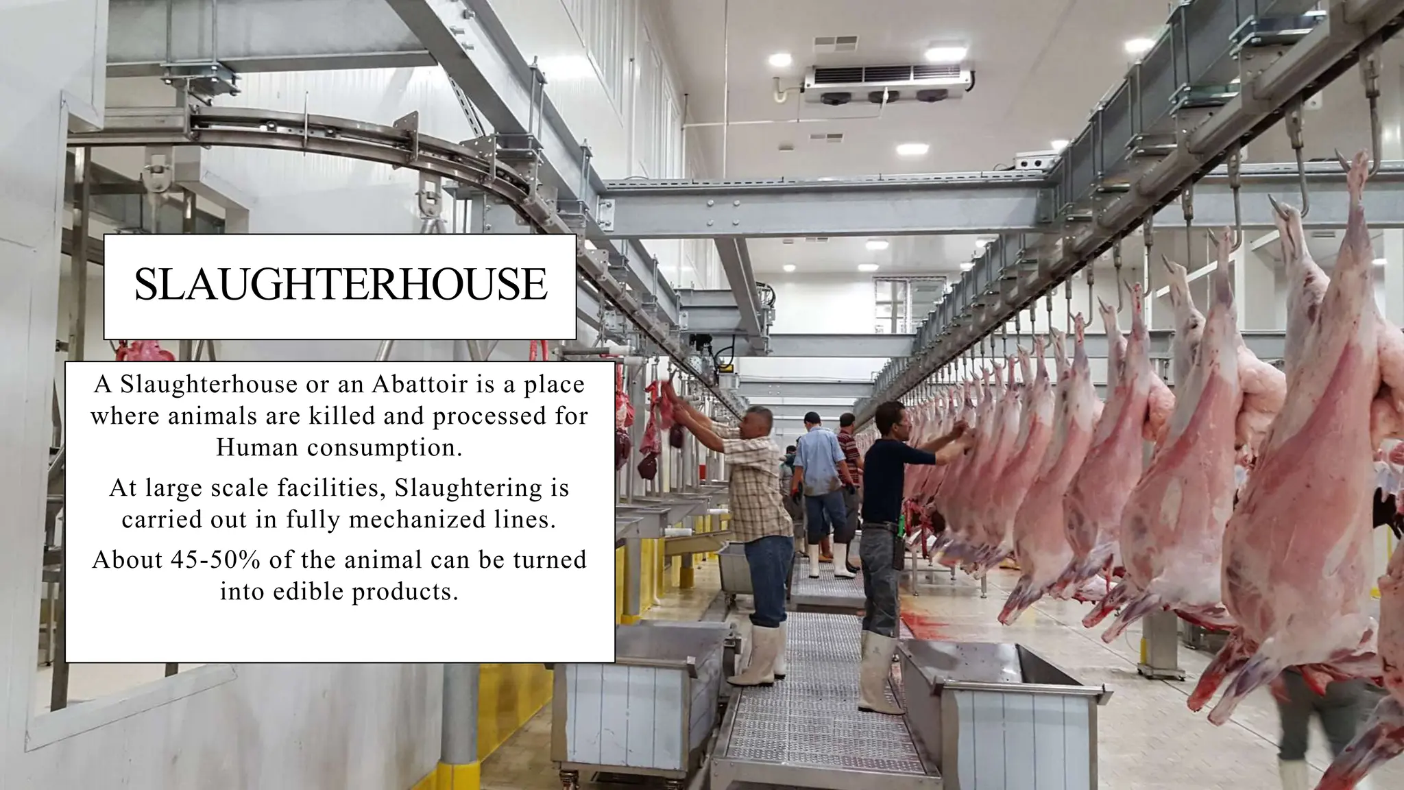 slaughterhouse Waste Managements stat.pptx