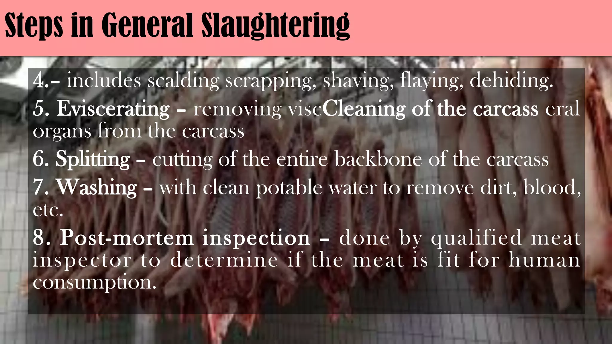 Slaughtering | PDF