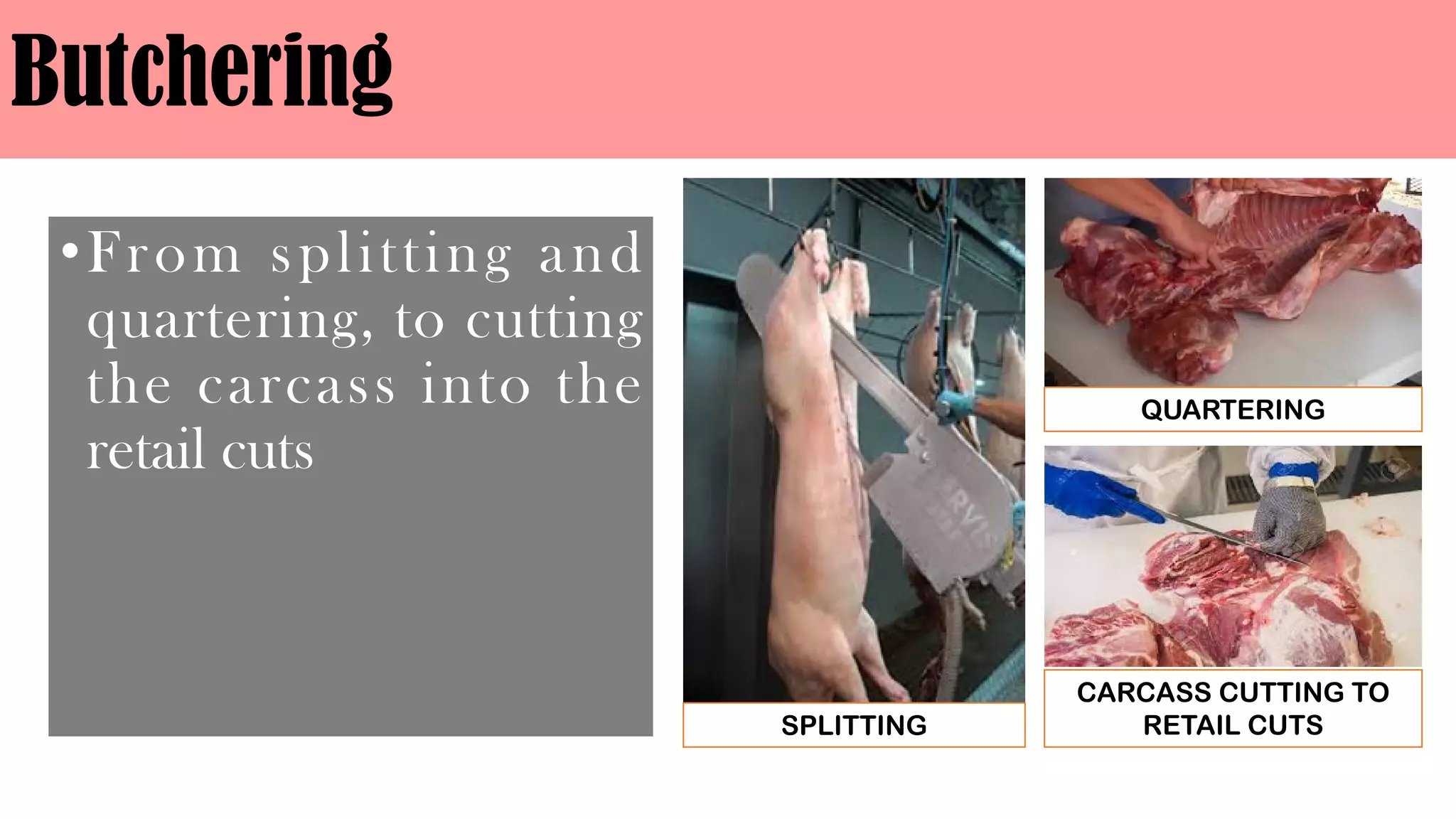 Slaughtering | PDF